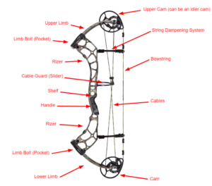 Best Compound Bow For Beginners - 2021 GUIDE WITH REVIEWS!