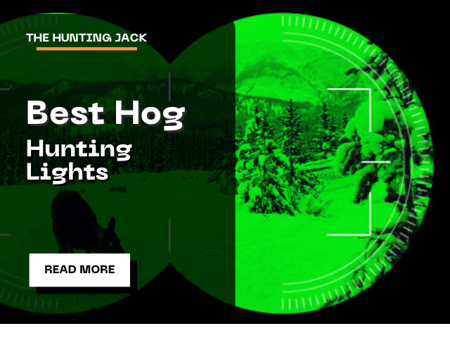 5 Best Hog Hunting Lights 2023 | Thehuntingjack.com