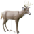 5 Best Deer Decoys For Hunting 2023 | Thehuntingjack.com